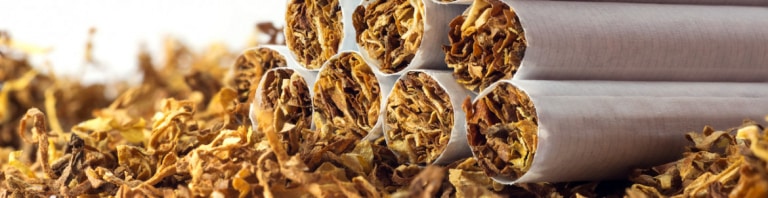 Quel est le meilleur tabac à tuber