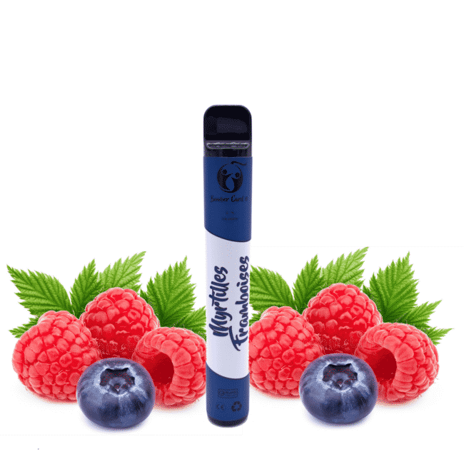 Cigarette électronique - Puff - HBN - Livraison sous 24h