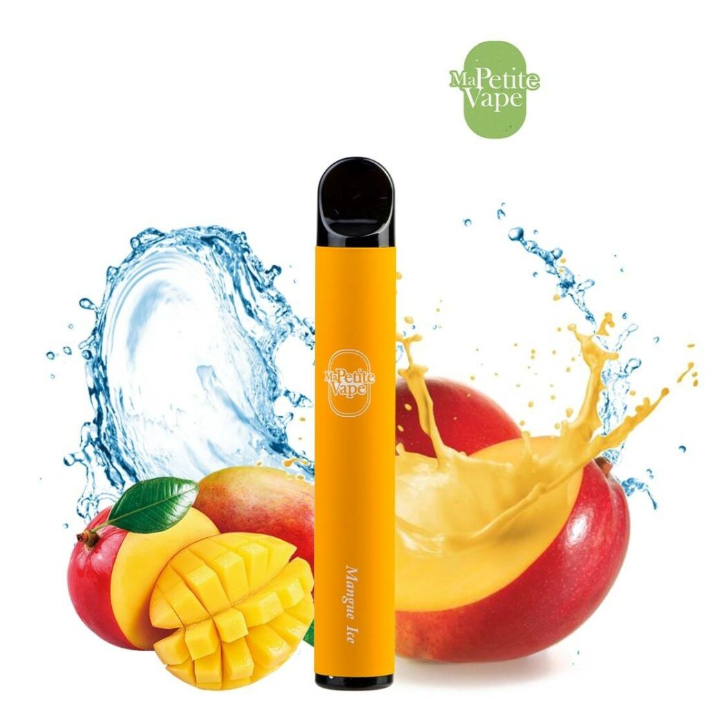 Cigarette pour tabac chauffé HNB Pen | Compatible Heets | Livré 24-72h